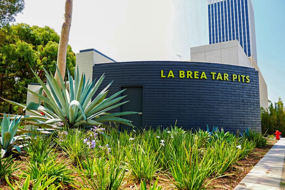 Los Angeles: La Brea Tar Pits Museum Ticket - What to Expect During Your Visit
