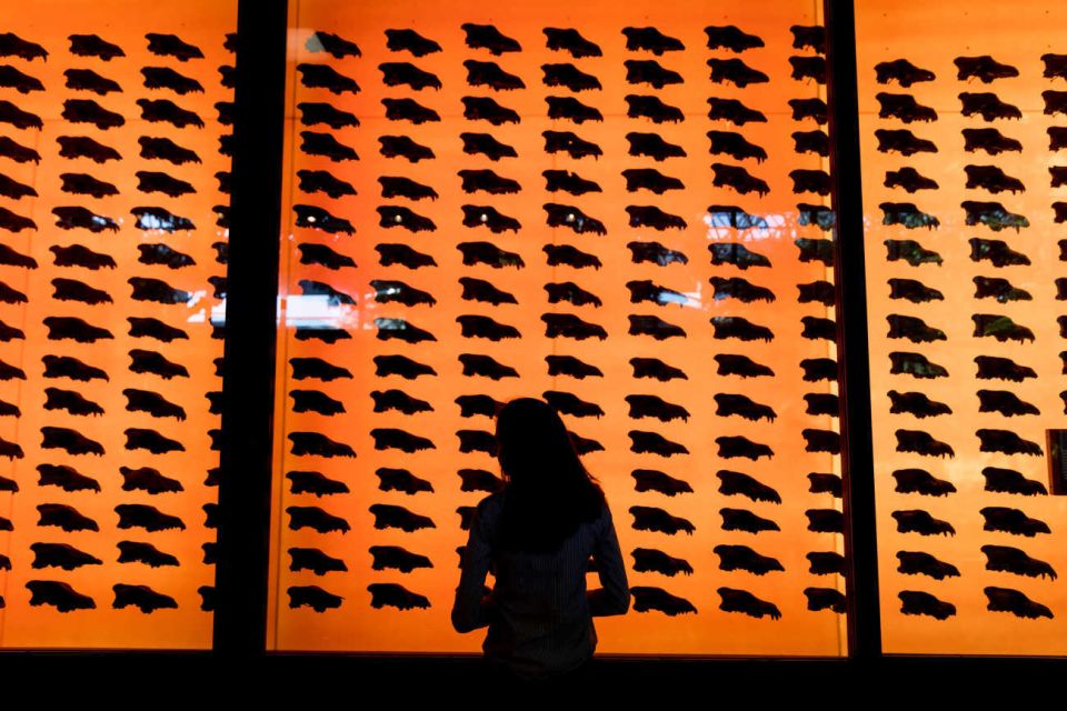Los Angeles: La Brea Tar Pits Museum Ticket - Authentic Insights from Visitors