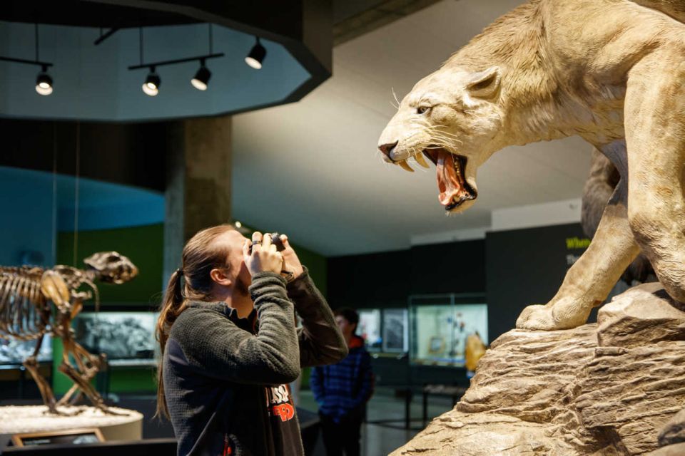 Los Angeles: La Brea Tar Pits Museum Ticket - Final Thoughts: Is It Worth Visiting?
