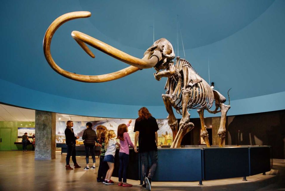 Los Angeles: La Brea Tar Pits Museum Ticket - FAQ