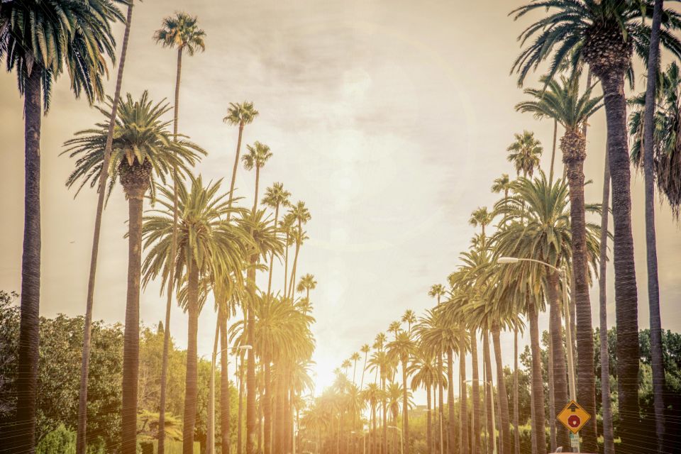 Los Angeles: LA in a Day Guided Electric Bike Tour - Authentic Experiences from Past Participants