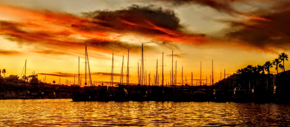 Los Angeles Luxury Cruise w/ Wine, Charcuterie & Sealions - The Value of This Tour
