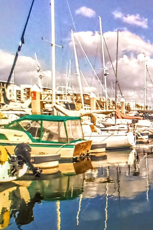 Los Angeles Luxury Cruise w/ Wine, Charcuterie & Sealions - The Sum Up