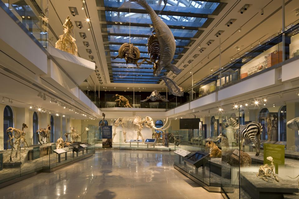 Los Angeles: Natural History Museum of LA Entry Ticket - The Bottom Line