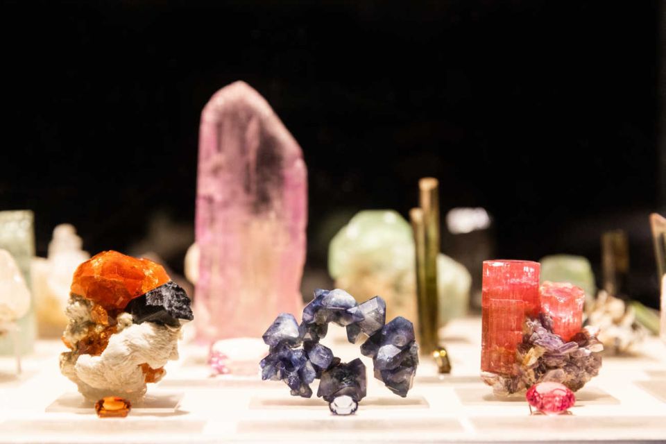 Los Angeles: Natural History Museum of LA Entry Ticket - The Basics: What to Expect
