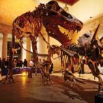 Los Angeles: Natural History Museum of LA Entry Ticket - Dinosaur Hall and Fossil Exhibits
