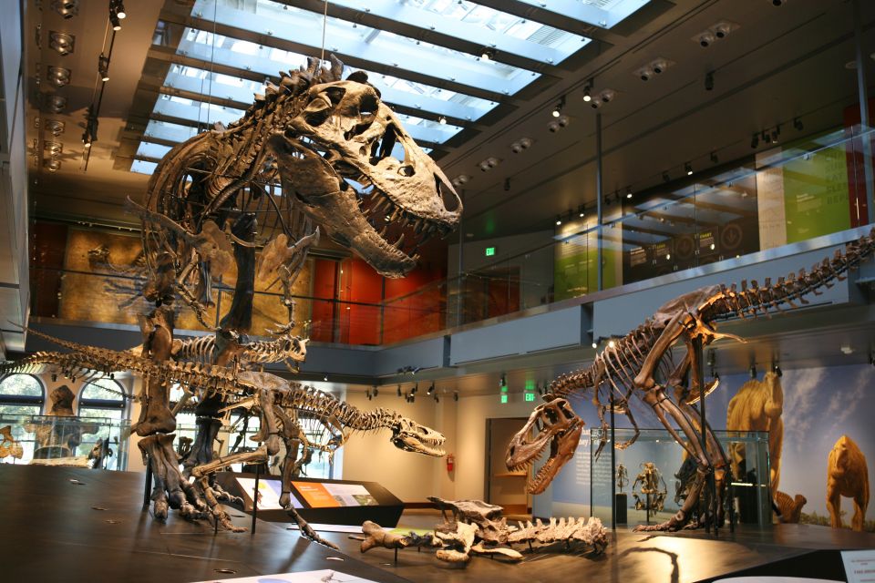 Los Angeles: Natural History Museum of LA Entry Ticket - The Gem and Mineral Hall