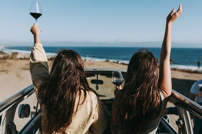 Los Angeles: Private Vintage VW Bus Tour in Malibu - Who Will Love This Tour?