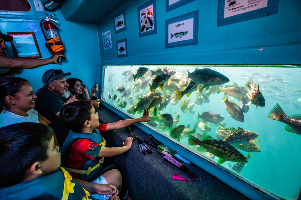 Los Angeles: Redondo Beach Glass Bottom Boat Cruise - What Makes This Tour Special?