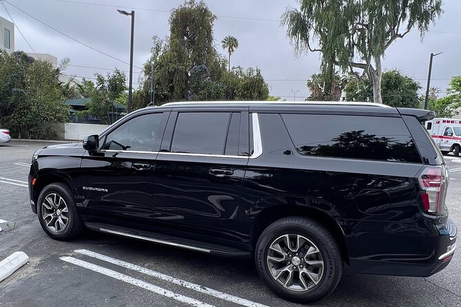 Los Angeles to or from Palm Springs Transfer - The Experience in Detail