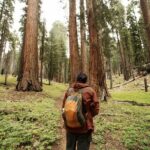 Los Angeles to San Francisco: California Parks Highlights Tour - Authentic Experiences and Practical Tips