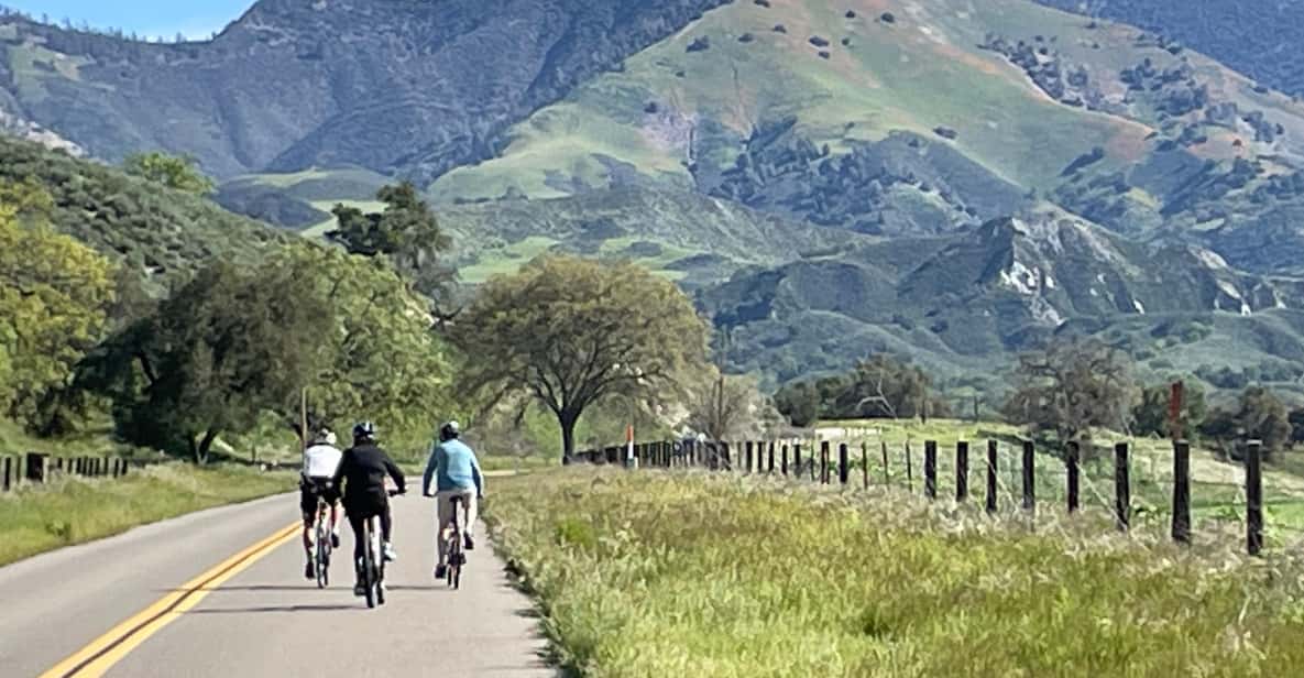 Los Olivos: E-Bike Tour + Vineyard Lunch w/Wine Tasting - Why This Tour Offers Great Value