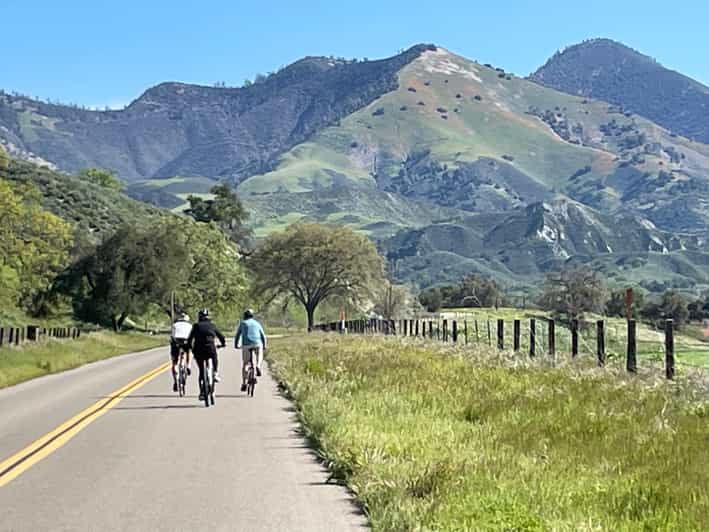 Los Olivos: E-Bike Tour + Vineyard Lunch w/Wine Tasting - Who Will Love This Experience?