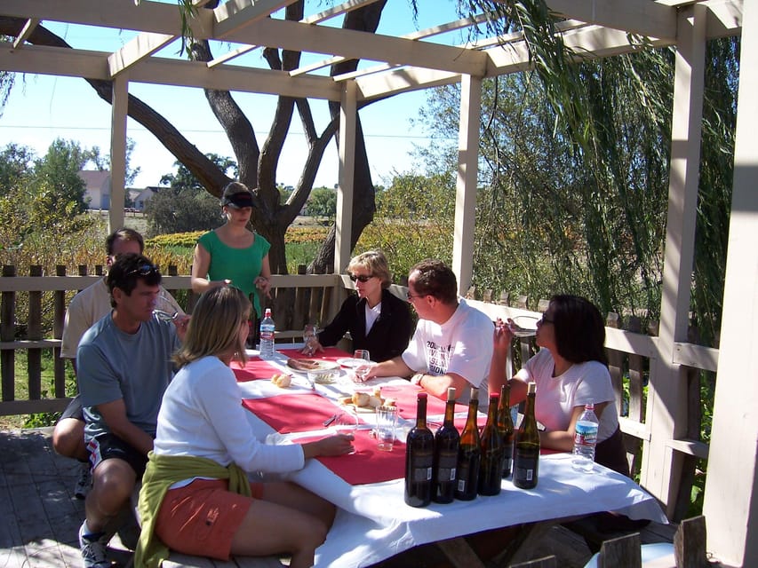 Los Olivos: E-Bike Tour + Vineyard Lunch w/Wine Tasting - The Sum Up