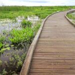 Louisiana Creole Nature Trail Self-Guided Audio Driving Tour - The Sum Up: Is This Tour Worth It?