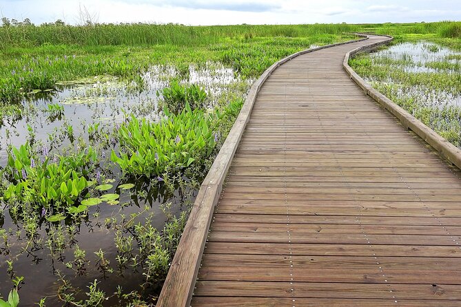 Louisiana Creole Nature Trail Self-Guided Audio Driving Tour - The Sum Up: Is This Tour Worth It?