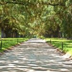 Louisiana: Laura, Oak Alley, or Whitney Plantation Tours - What You Can Expect on the Tour