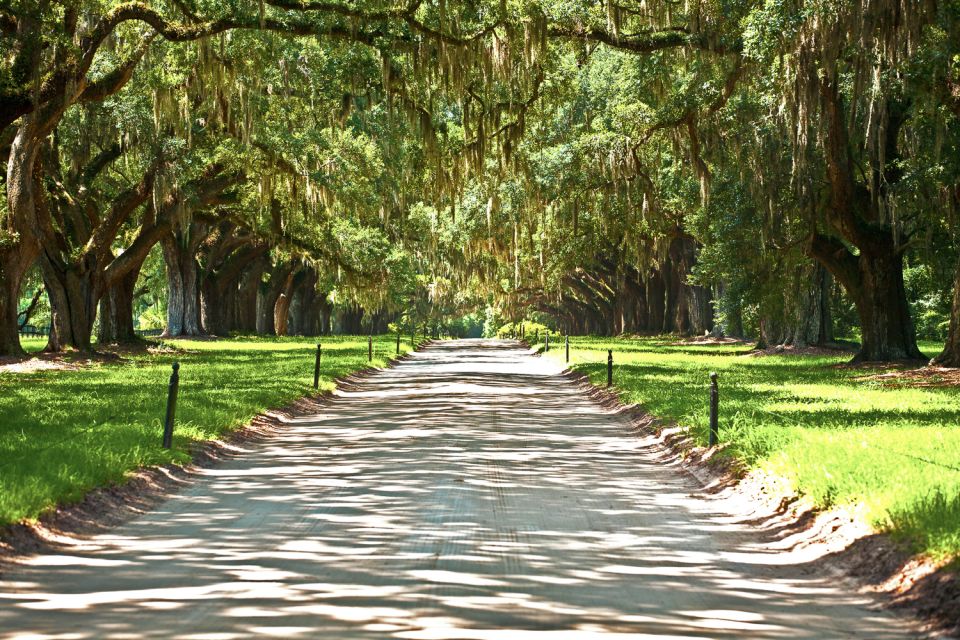 Louisiana: Laura, Oak Alley, or Whitney Plantation Tours - What You Can Expect on the Tour