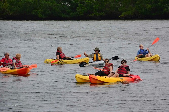 Lovers Key Guided Eco Tour-Mangrove Estuary - The Itinerary in Detail: What You’ll Experience