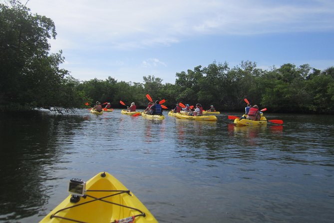 Lovers Key Guided Eco Tour-Mangrove Estuary - What Reviewers Say: Authentic Perspectives