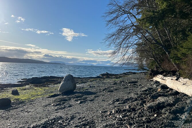 Low Tide Excursion & Totem Bight Park - FAQ
