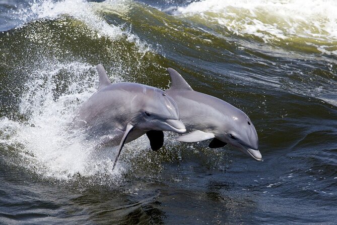 Lowcountry Lunch Buffet Cruise in Hilton Head - Who Should Consider This Tour?