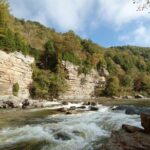 Lower Gauley River Whitewater Rafting Trip - Who Will Love This Tour?