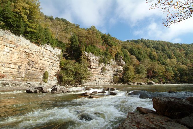 Lower Gauley River Whitewater Rafting Trip - Who Will Love This Tour?
