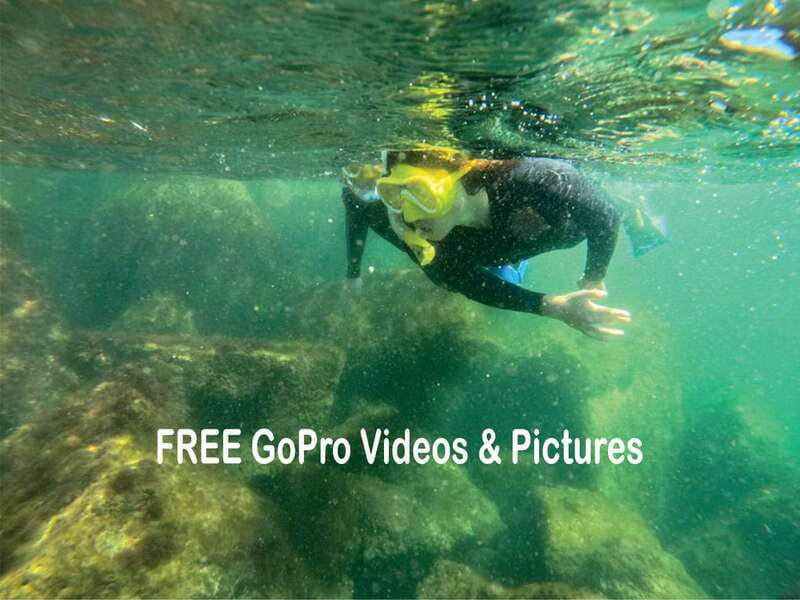 Lower Grand Lagoon: Panama City Beach Guided Snorkeling Tour - What to Expect on the Tour
