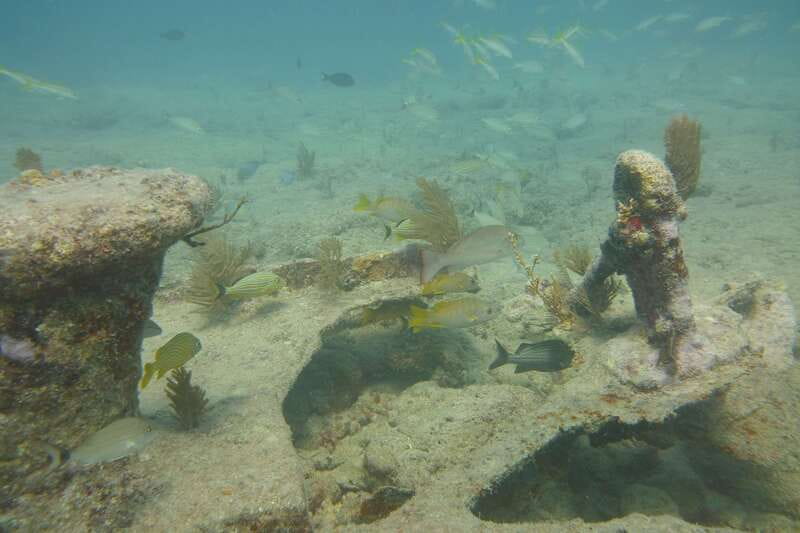 Lower Grand Lagoon: Panama City Beach Guided Snorkeling Tour - Final Thoughts