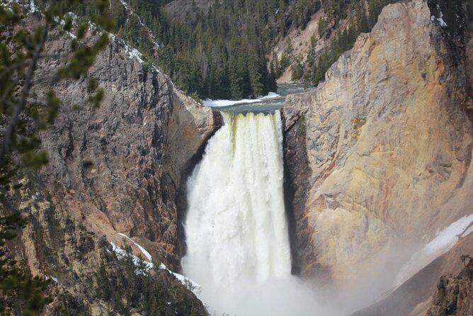 Lower Loop Yellowstone Wildlife Scenic - Jackson Hole Day Tour | WY - Final Thoughts