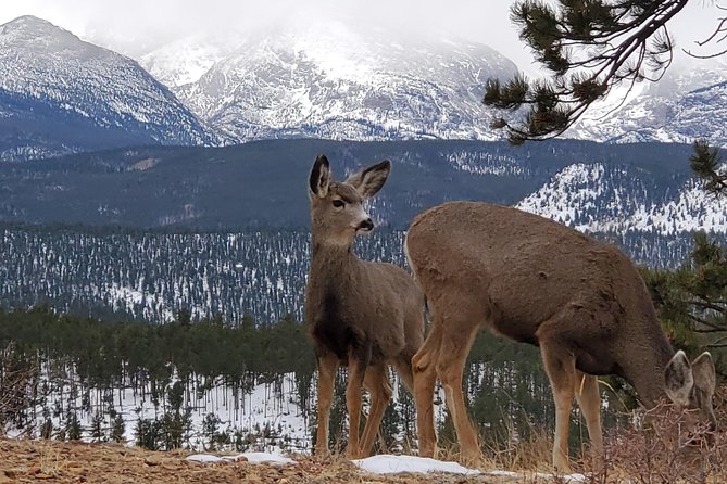 Lower Valley Tour RMNP - Key Points