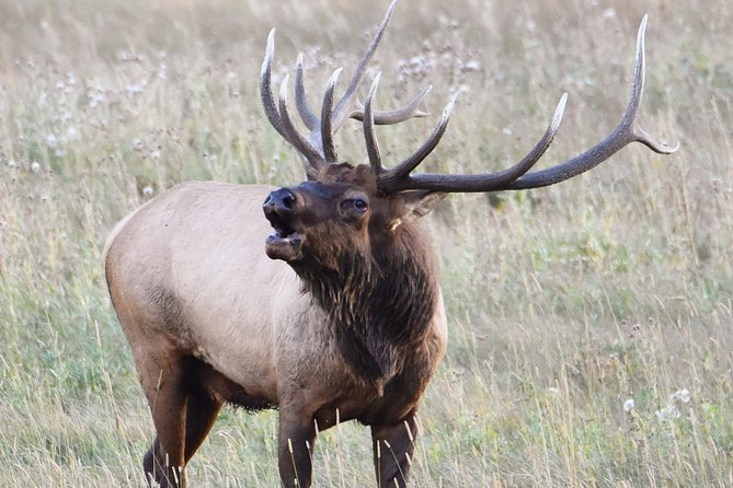 Lower Valley Tour RMNP - Experiencing the Lower Valley: A Deep Dive