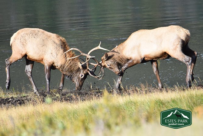 Lower Valley Tour RMNP - FAQ