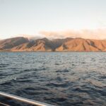 Luxury Catamaran Royal Sunset Dinner Sail (Adults-Only) - The Vessel and Comfort