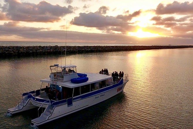 Luxury Catamaran Sunset and Wine Cruise from Dana Point - Key Points