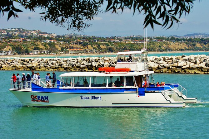 Luxury Catamaran Sunset and Wine Cruise from Dana Point - Who Is This Cruise Best For?