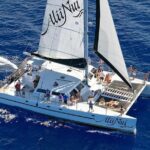 Luxury Catamaran Whale Watch - The Value of a 2-Hour Whale Watch