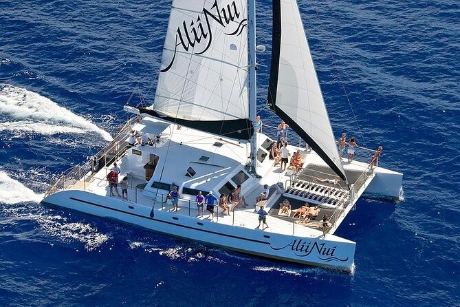 Luxury Catamaran Whale Watch - The Value of a 2-Hour Whale Watch