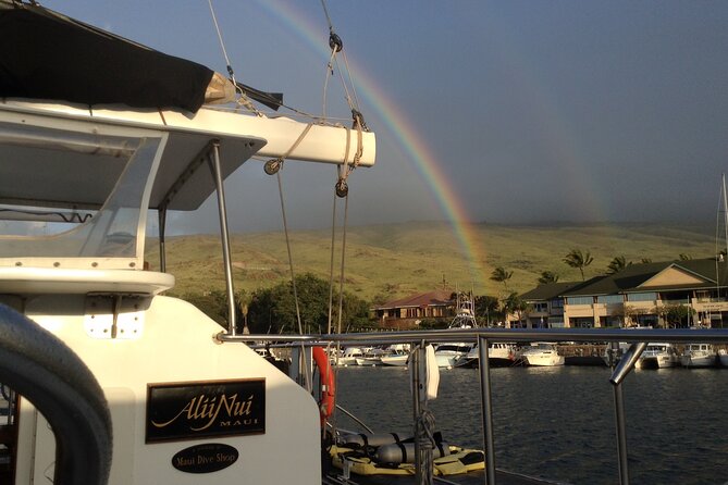 Luxury Catamaran Whale Watch - What Makes This Tour Stand Out?