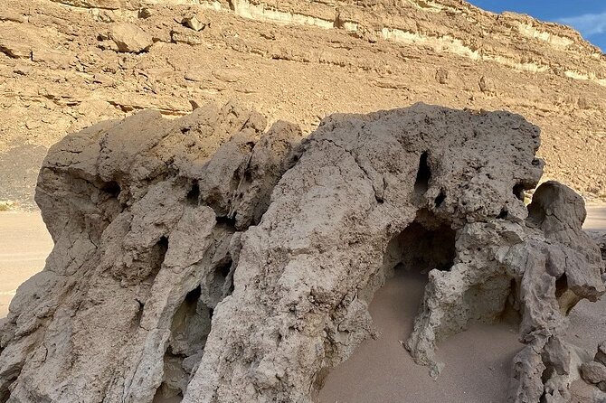 Luxury Desert Safari Tour, Morning & Afternoon from Hurghada - Key Points