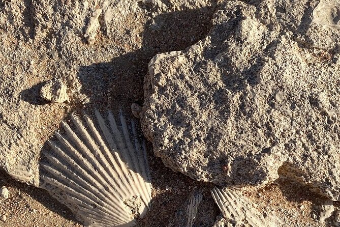 Luxury Desert Safari Tour, Morning & Afternoon from Hurghada - FAQ