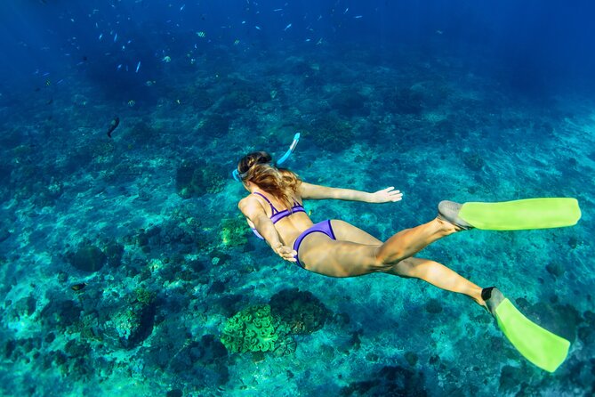 Luxury Diamond Head Sunset Sail - Key Points