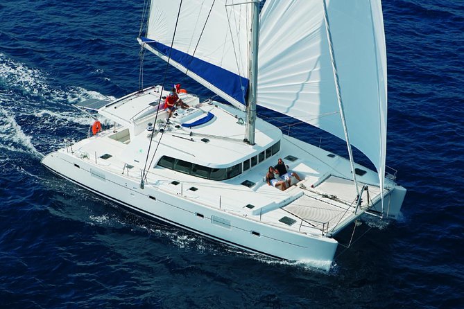 Luxury Hawaiian Sea Turtle, Dolphin Sail and Kona Snorkel - What Makes This Tour Stand Out?