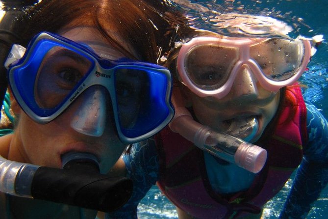 Luxury Hawaiian Sea Turtle, Dolphin Sail and Kona Snorkel - Value for Money and Final Thoughts