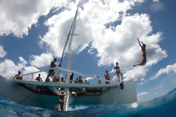 Luxury Hawaiian Sea Turtle, Dolphin Sail and Kona Snorkel - FAQ