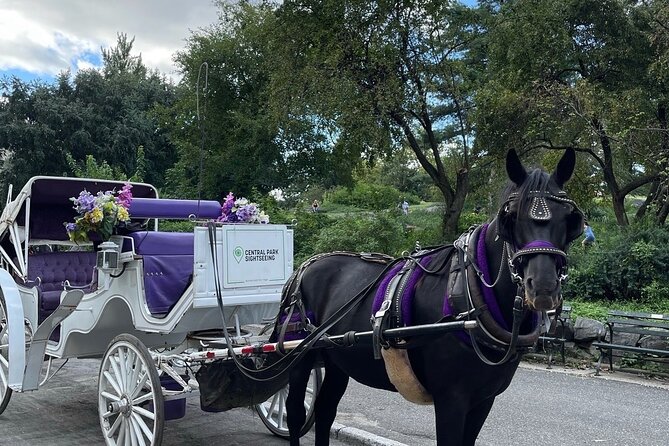 Luxury Horse and Carriage Tours in Central Park - A Ride Through Central Park: A Thorough Review of the Luxury Horse and Carriage Tour