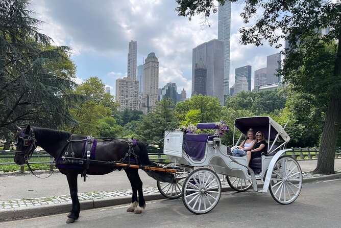 Luxury Horse and Carriage Tours in Central Park - Key Points