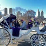 Luxury Horse and Carriage Tours in Central Park - An In-Depth Look at the Central Park Horse and Carriage Experience