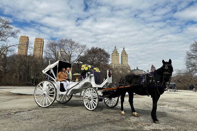 Luxury Horse and Carriage Tours in Central Park - Who Is This Tour Perfect For?